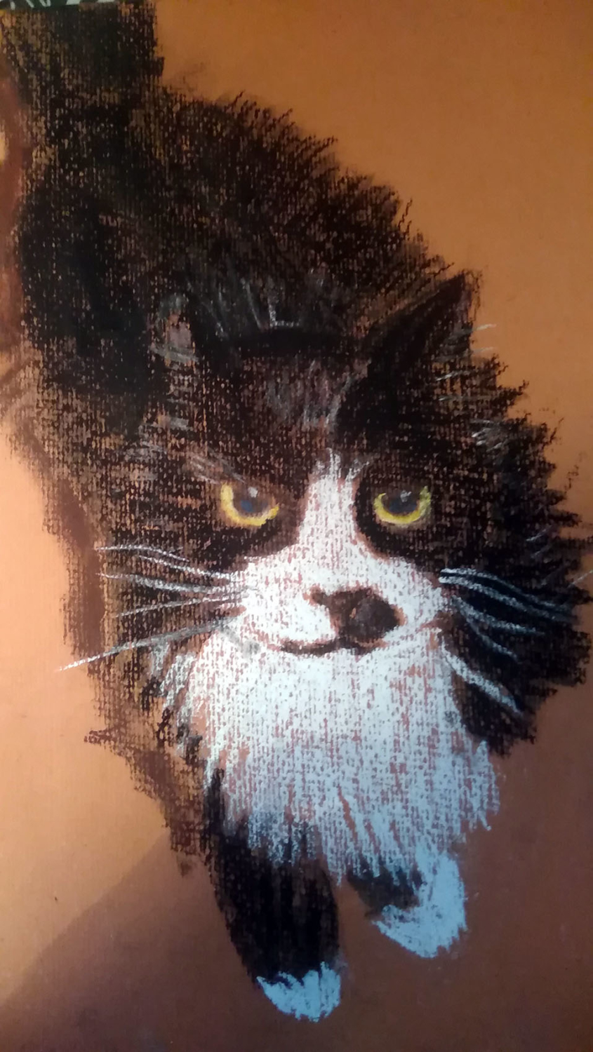 Chat au pastel sec - Bulle Créative - Atelier d arts plastiques